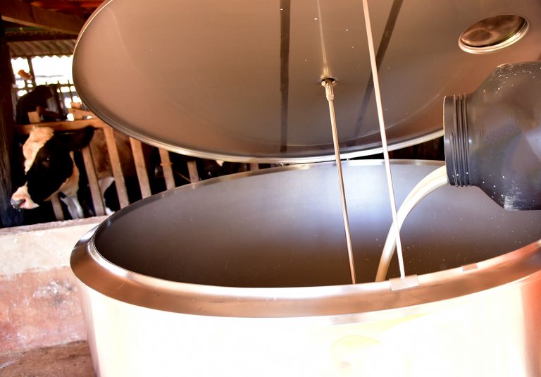 Produtores rurais que recebem assistência técnica do Senar/MS ...